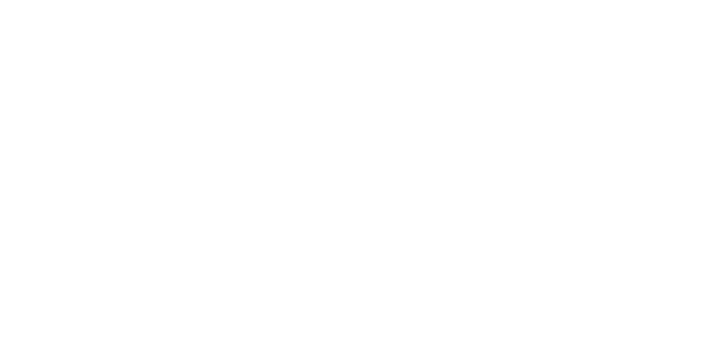 What's important - Setec International